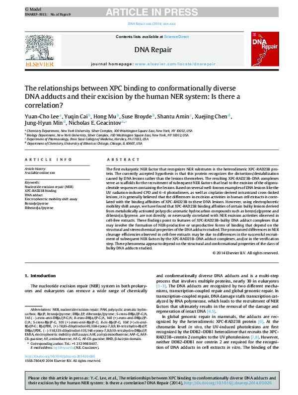 (PDF) The relationships between XPC binding to conformationally diverse ...