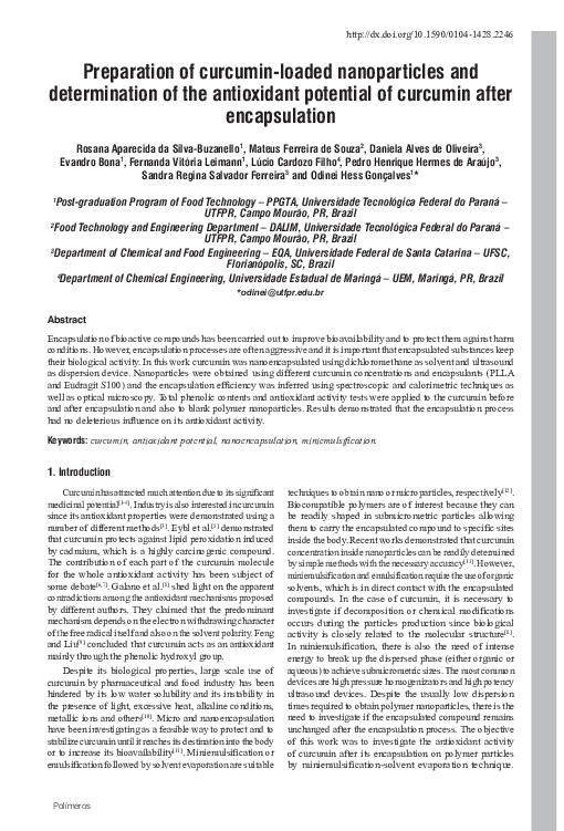 (PDF) Preparation of curcumin-loaded nanoparticles and determination of ...