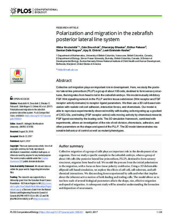 (PDF) Polarization and migration in the zebrafish posterior lateral ...