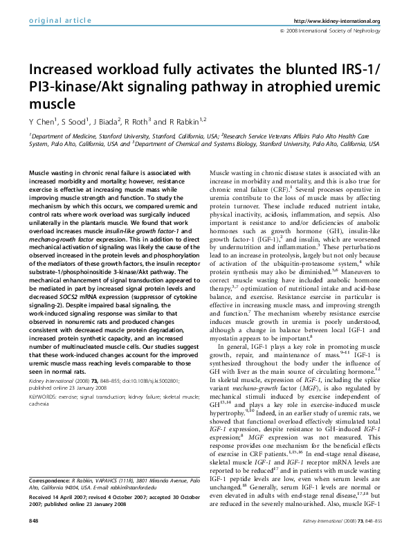 (PDF) Increased workload fully activates the blunted IRS-1/PI3-kinase ...