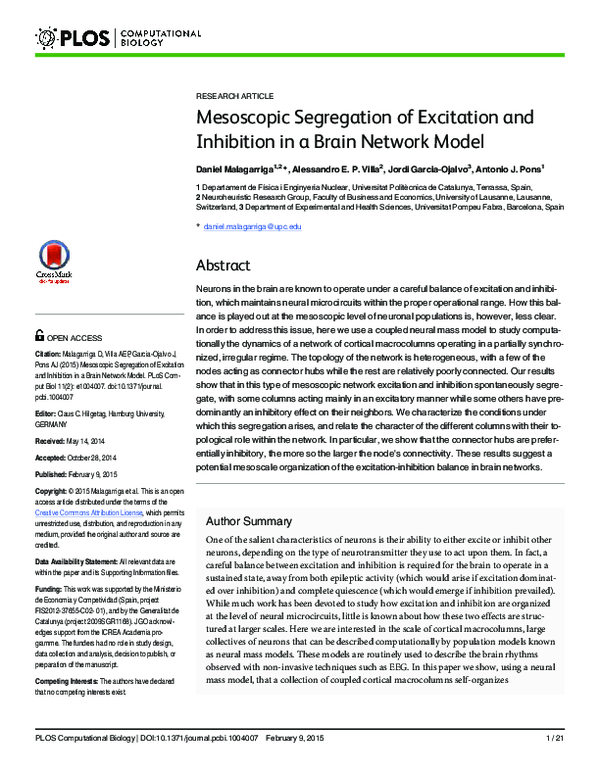 (PDF) Mesoscopic Segregation of Excitation and Inhibition in a Brain ...