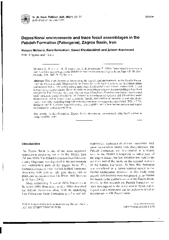 (PDF) Depositional environments and Pabdeh Formation (Paleogene)