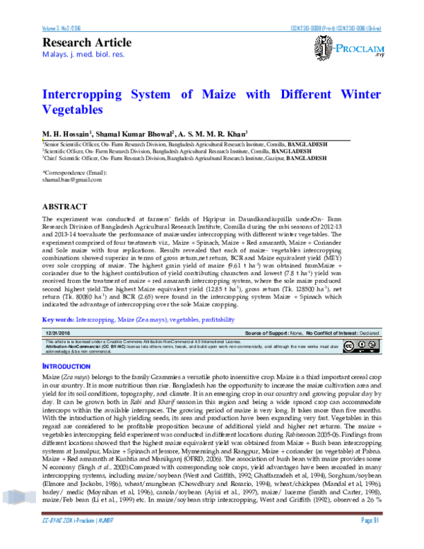 (PDF) Intercropping System of Maize with Different Winter Vegetables