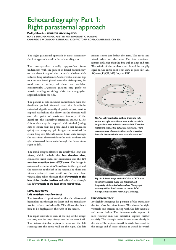 (PDF) Echocardiography Part 1: Right parasternal approach