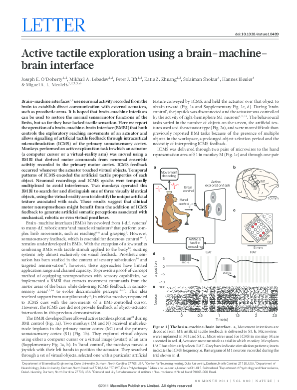 (PDF) Active tactile exploration using a brain-machine-brain interface