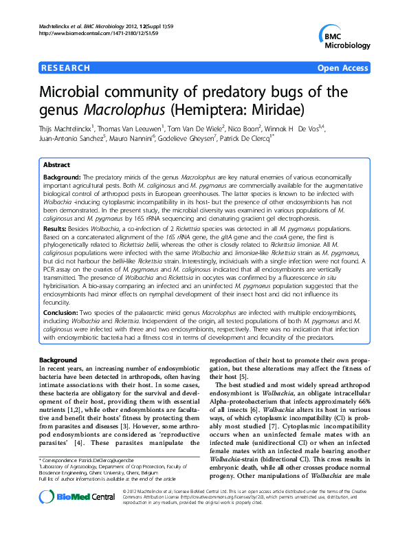 (PDF) Microbial community of predatory bugs of the genus Macrolophus ...