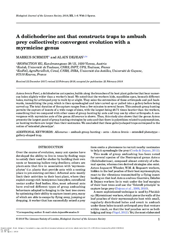 (PDF) A dolichoderine ant that constructs traps to ambush prey ...