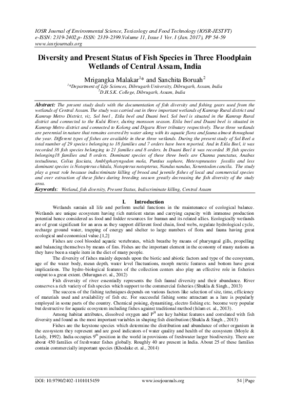 (PDF) Diversity and Present Status of Fish Species in Three Floodplain ...