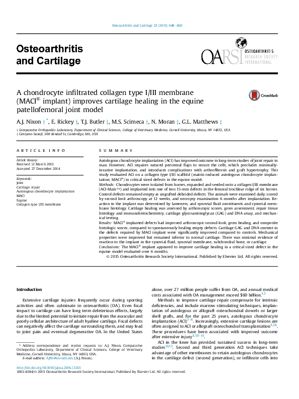 (PDF) A chondrocyte infiltrated collagen type I/III membrane (MACI ...