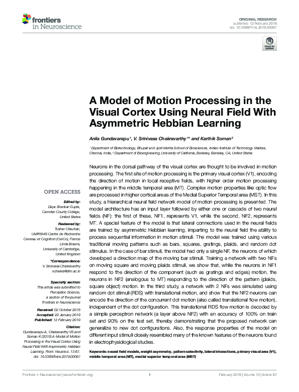 Pdf A Model Of Motion Processing In The Visual Cortex Using Neural