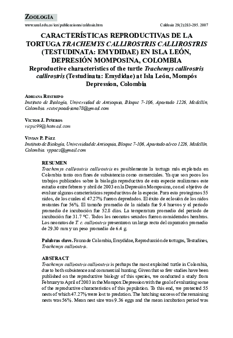 (PDF) CARACTERÍSTICAS REPRODUCTIVAS DE LA TORTUGA TRACHEMYS ...