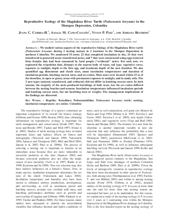 (PDF) Reproductive Ecology of the Magdalena River Turtle (Podocnemis ...