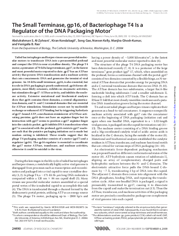 (PDF) The Small Terminase, gp16, of Bacteriophage T4 Is a Regulator of ...