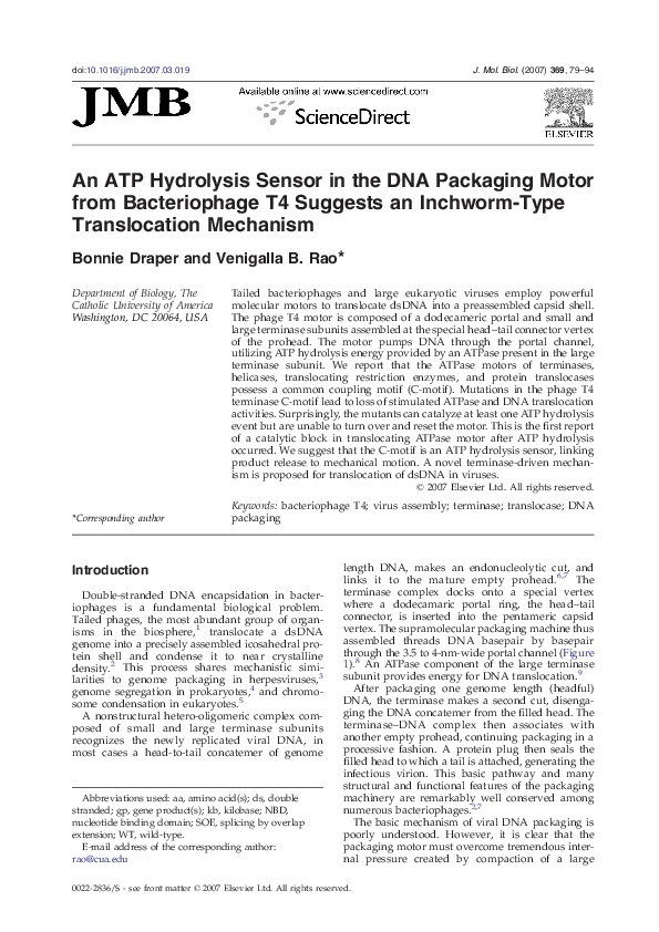 (PDF) An ATP Hydrolysis Sensor in the DNA Packaging Motor from ...