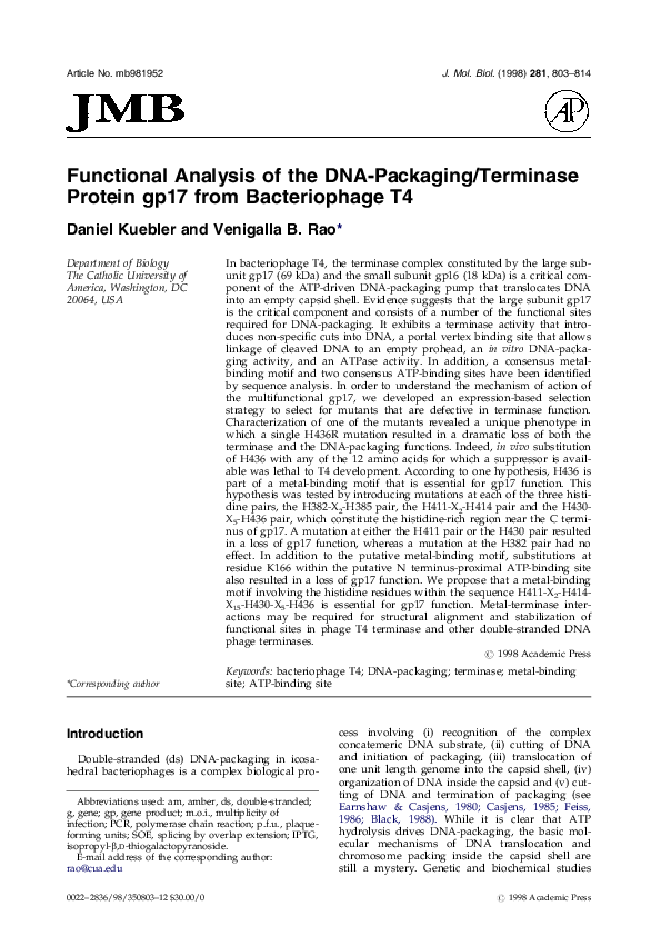 (PDF) Functional analysis of the DNA-packaging/terminase protein gp17 ...