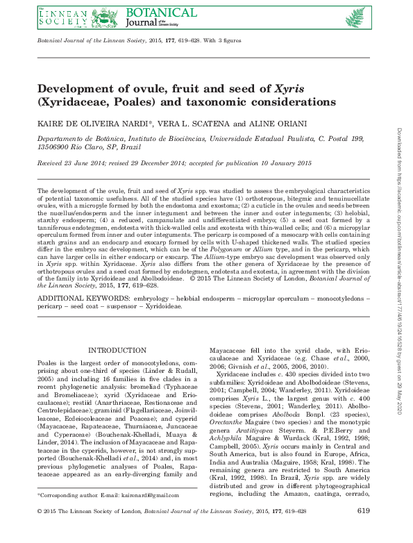 (PDF) Development of ovule, fruit and seed of X yris (Xyridaceae ...