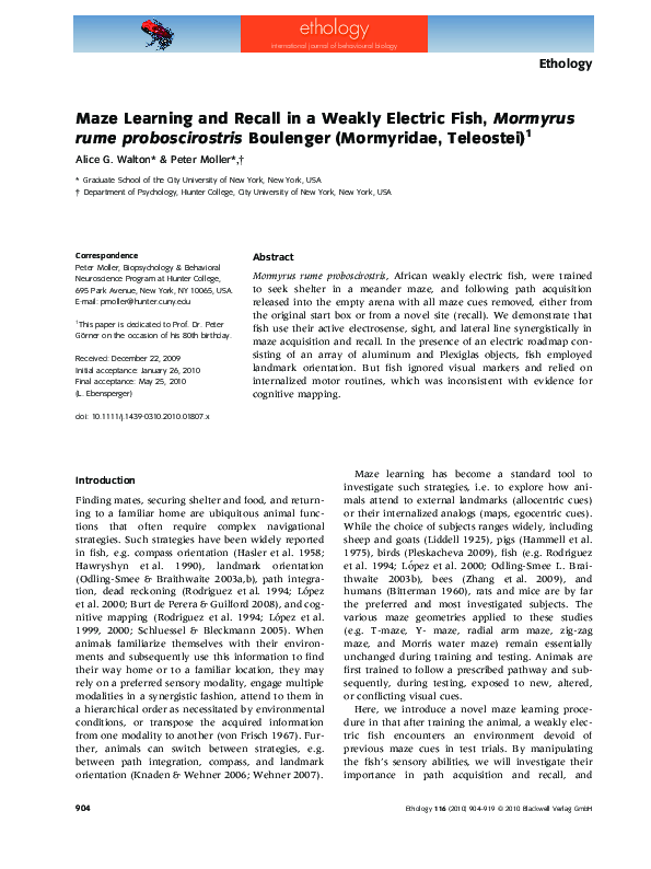 (PDF) Maze Learning and Recall in a Weakly Electric Fish, Mormyrus rume ...