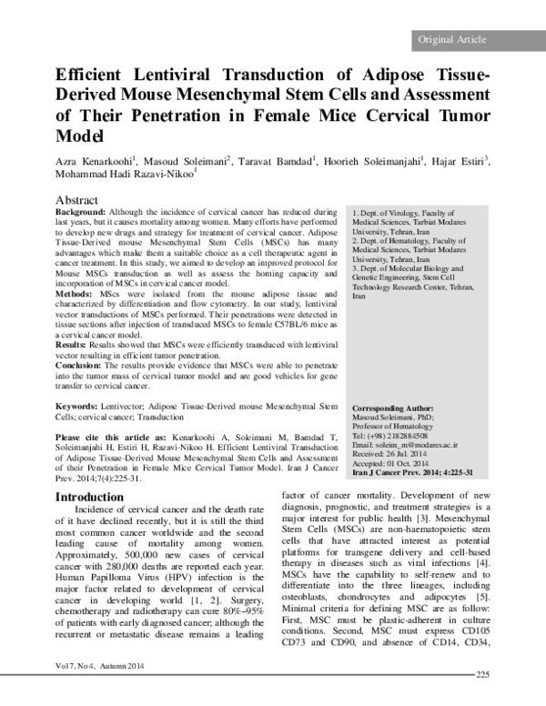 (PDF) Efficient lentiviral transduction of adipose tissue-derived mouse ...