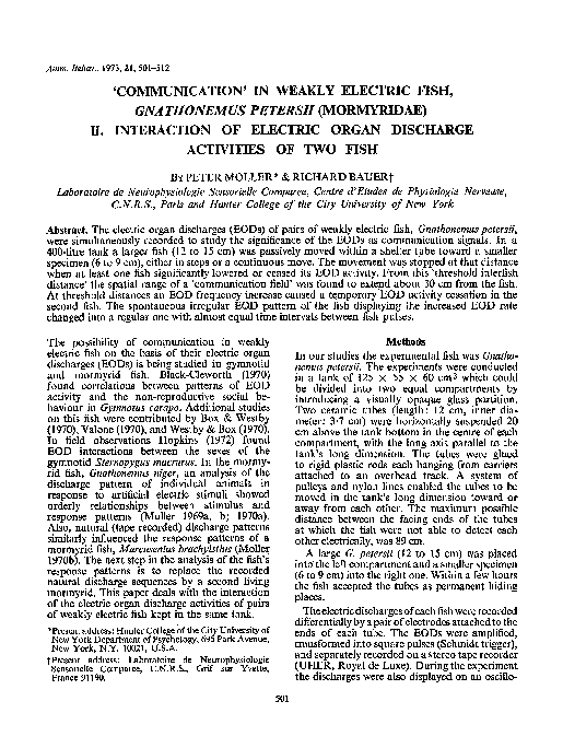 (PDF) ‘Communication’ in weakly electric fish, Gnathonemus petersii ...