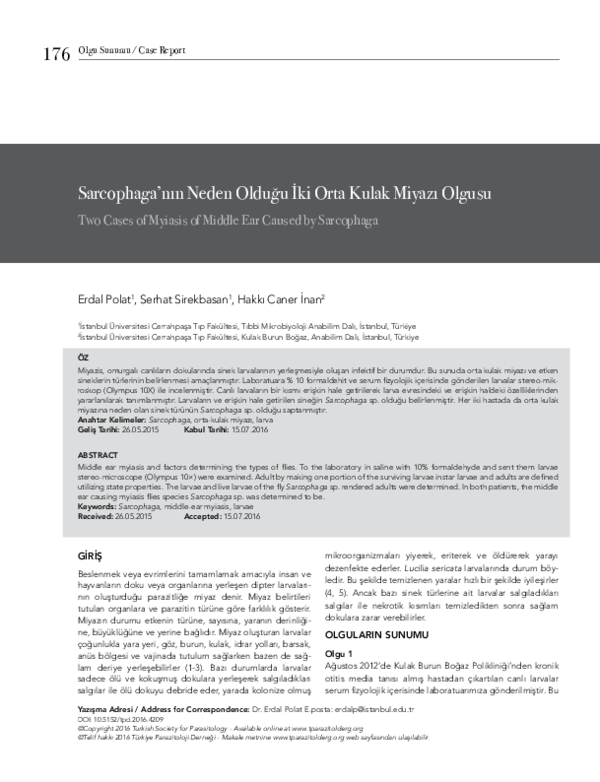 (PDF) Two Cases of Myiasis of Middle Ear Caused by Sarcophaga