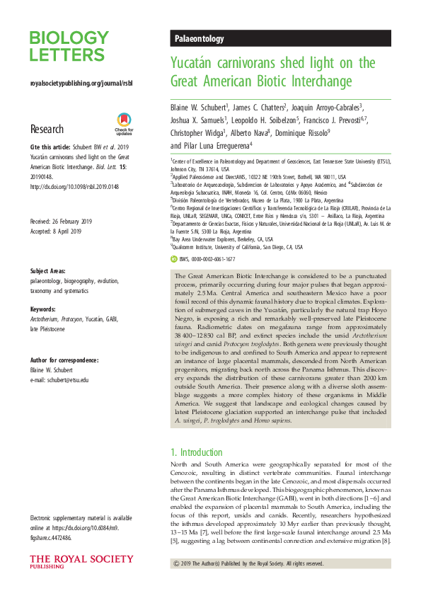 (PDF) Yucatán carnivorans shed light on the Great American Biotic ...