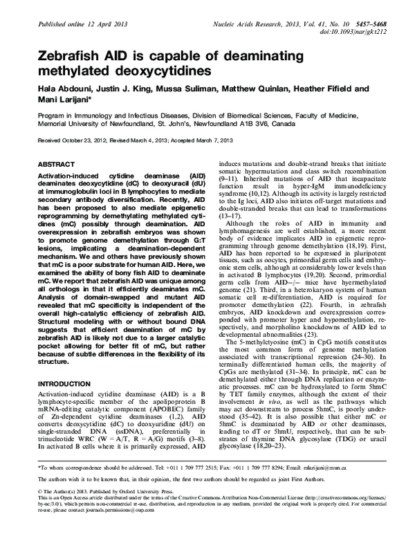 (PDF) Zebrafish AID is capable of deaminating methylated deoxycytidines