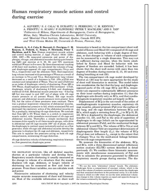 (PDF) Human respiratory muscle actions and control during exercise