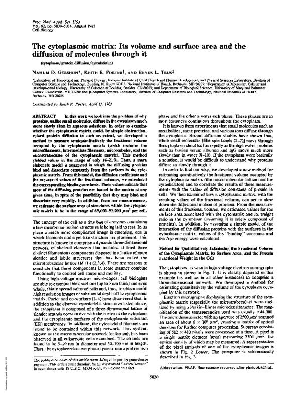 (PDF) The cytoplasmic matrix: its volume and surface area and the ...