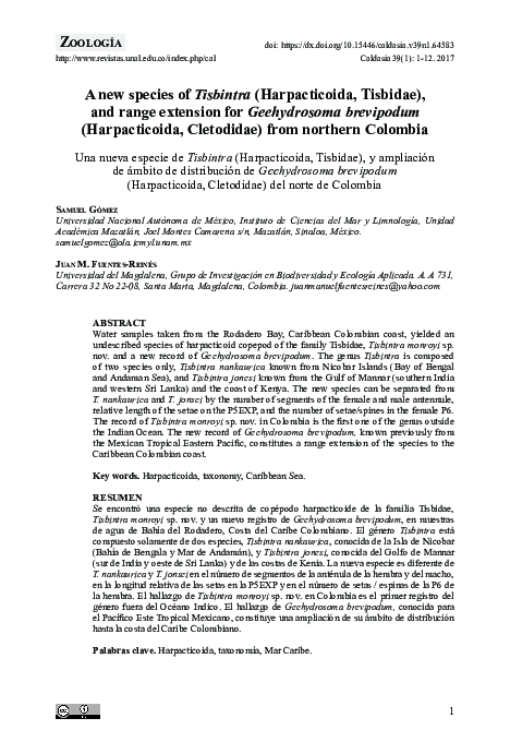 (PDF) A new species of Tisbintra (Harpacticoida, Tisbidae), and range ...
