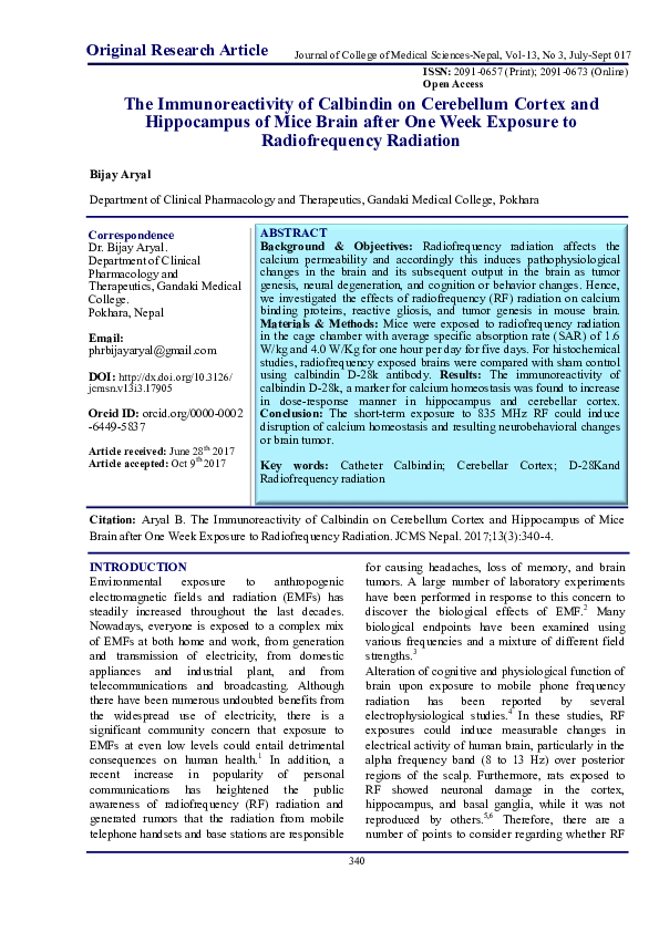 (PDF) The Immunoreactivity of Calbindin on Cerebellum Cortex and ...