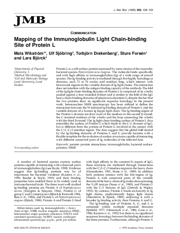 (PDF) Mapping of the Immunoglobulin Light Chain-binding Site of Protein L