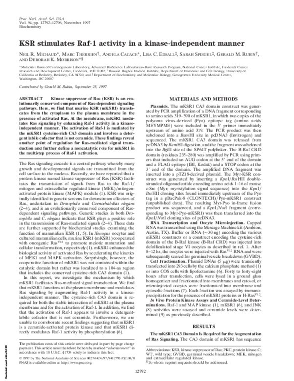 (PDF) KSR stimulates Raf-1 activity in a kinase-independent manner