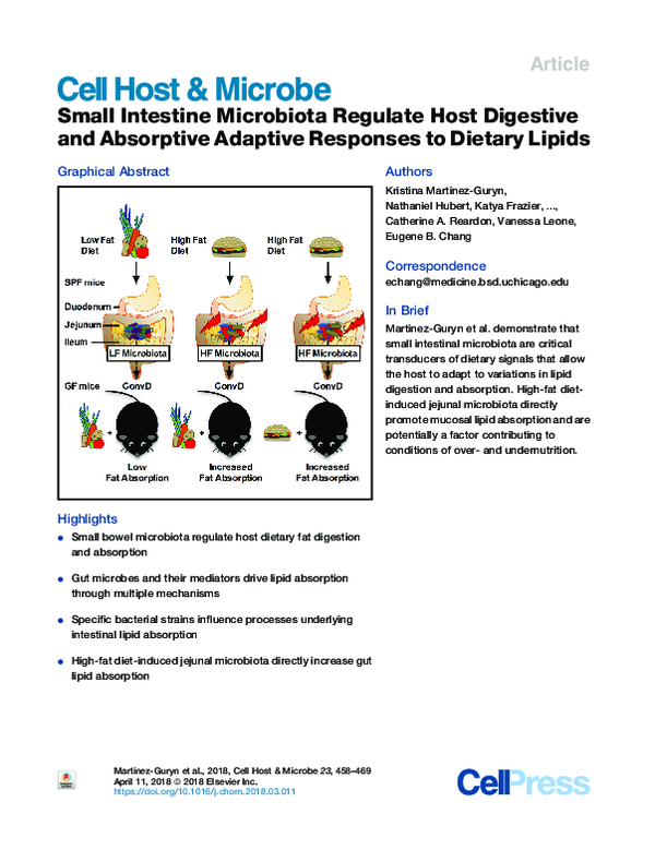 (PDF) Small Intestine Microbiota Regulate Host Digestive and Absorptive ...