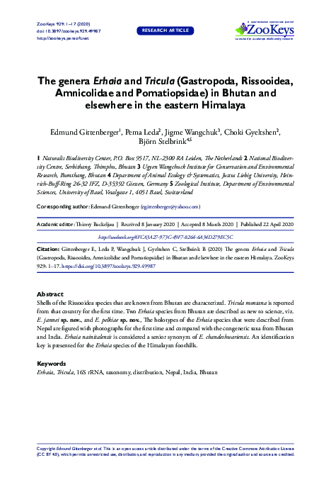 (PDF) Figure 12 from: Gittenberger E, Leda P, Wangchuk J, Gyeltshen C ...
