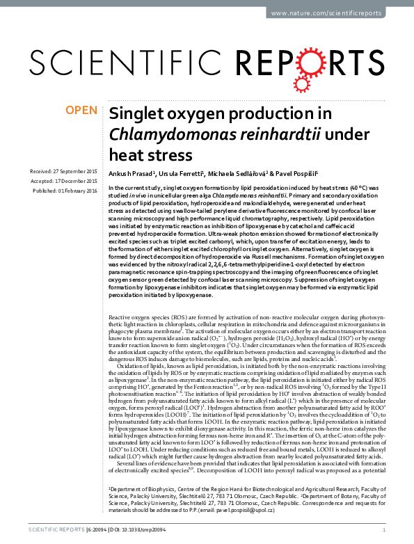Singlet oxygen production in Chlamydomonas reinhardtii under heat stress
