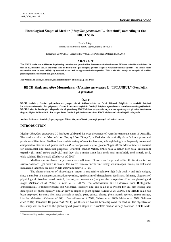 (PDF) Phenological Stages of Medlar (Mespilus germanica L. ‘İstanbul ...