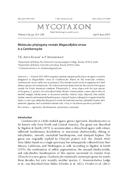 (PDF) Molecular phylogeny reveals Megacollybia virosa is a Cantharocybe