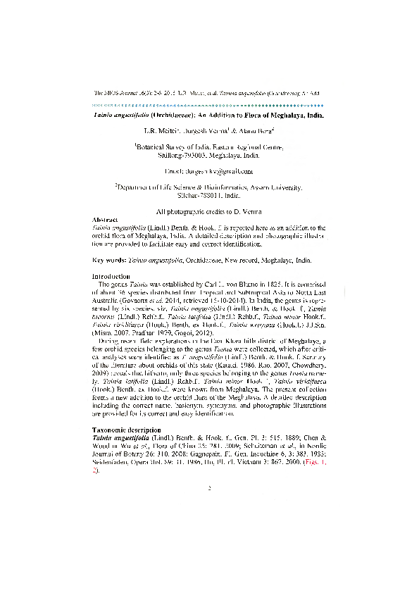 (PDF) Tainia angustifolia (Orchidaceae): An addition to flora of ...