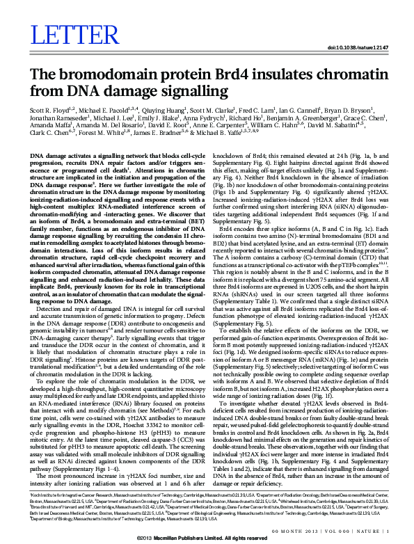 (PDF) The bromodomain protein Brd4 insulates chromatin from DNA damage ...