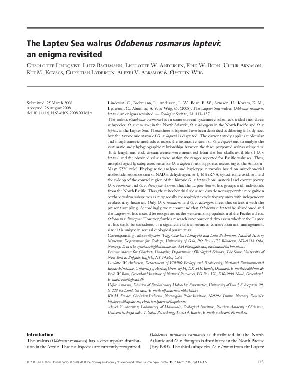 (PDF) The Laptev Sea walrus Odobenus rosmarus laptevi: an enigma revisited