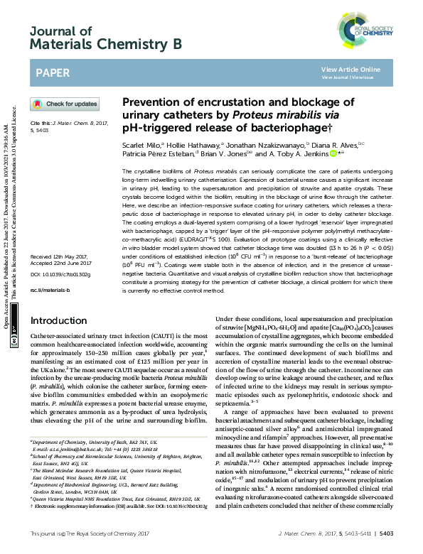(PDF) Prevention of encrustation and blockage of urinary catheters by ...