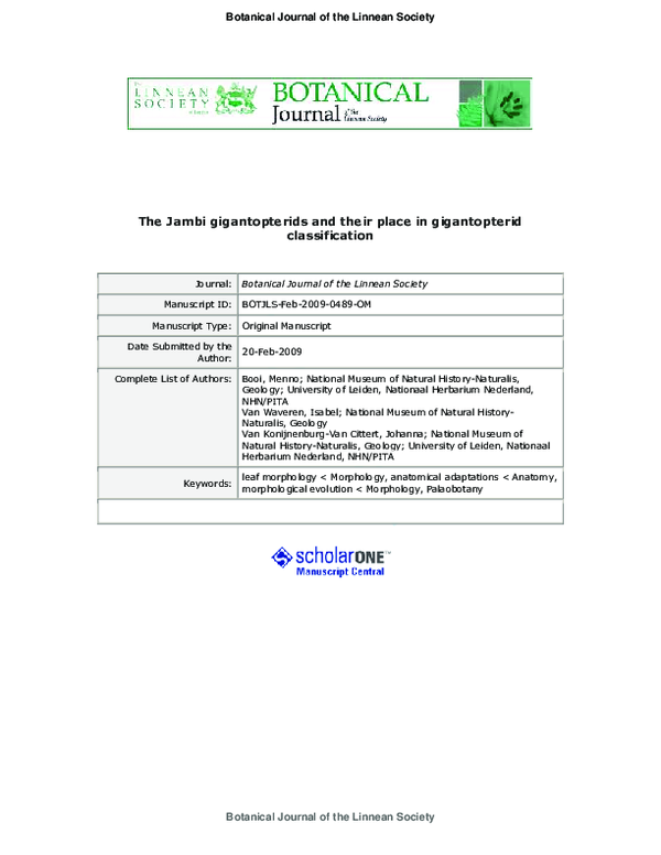 (PDF) The Jambi gigantopterids (Early Permian, Sumatra, Indonesia) and ...