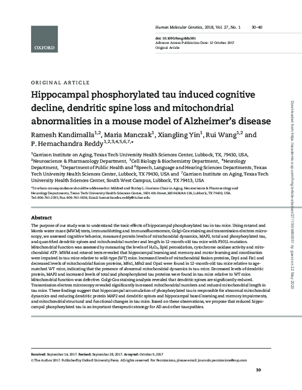 (PDF) Phosphorylated Tau's Role in Cognitive Decline and Mitochondrial Dysfunction in Alzheimer ...