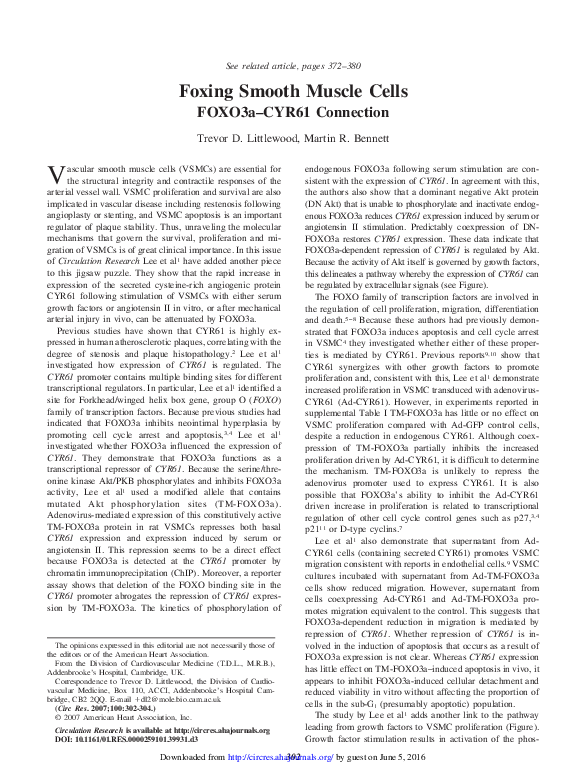 (PDF) Foxing Smooth Muscle Cells: FOXO3a-CYR61 Connection