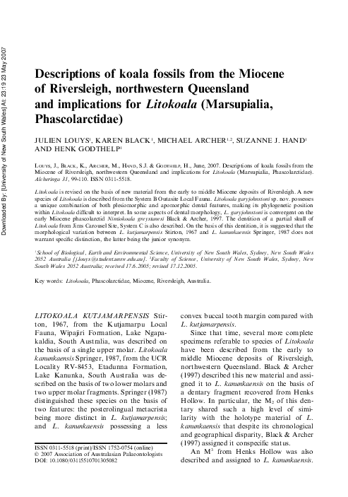 (PDF) Descriptions of Koala Fossils From the Miocene of Riversleigh ...