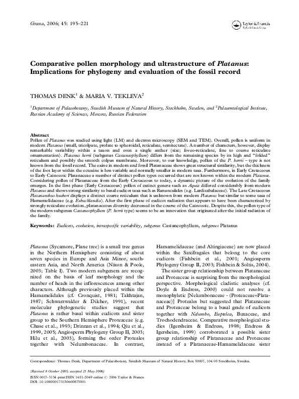 (PDF) Comparative pollen morphology and ultrastructure of Platanus ...