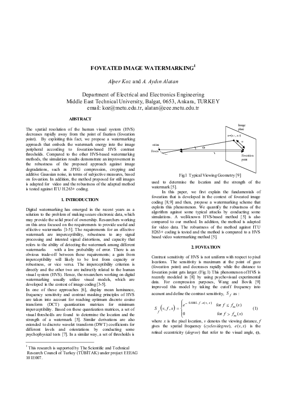 (PDF) Foveated image watermarking