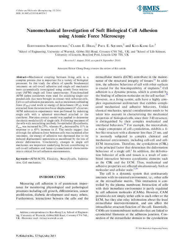 (PDF) Nanomechanical Investigation of Soft Biological Cell Adhesion using Atomic Force Microscopy