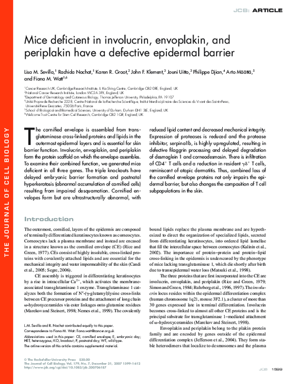 (PDF) Mice deficient in involucrin, envoplakin, and periplakin have a ...
