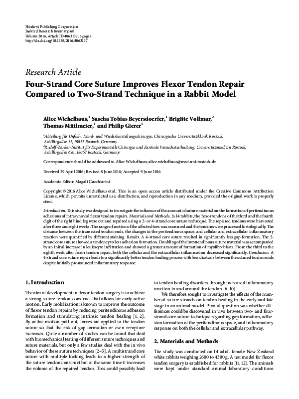 (PDF) Four-Strand Core Suture Improves Flexor Tendon Repair Compared to ...